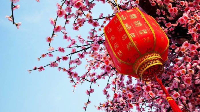 Wisata China - Selain Jepang, Ini Lho Lokasi Terbaik Tonton Keindahan ...