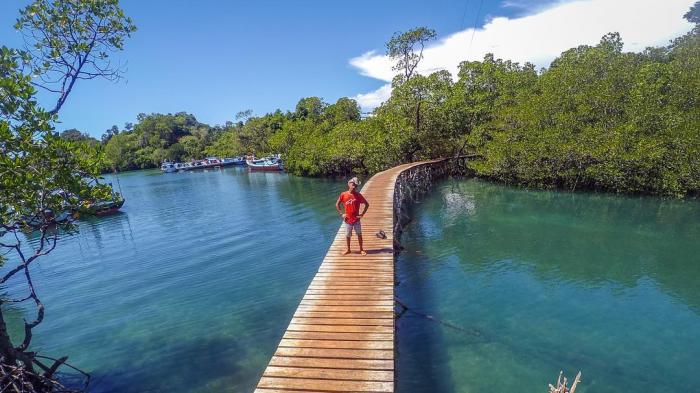 Sendang Biru Malang - Pejuang Mangrove Menyelamatkan Kepingan Surga ...