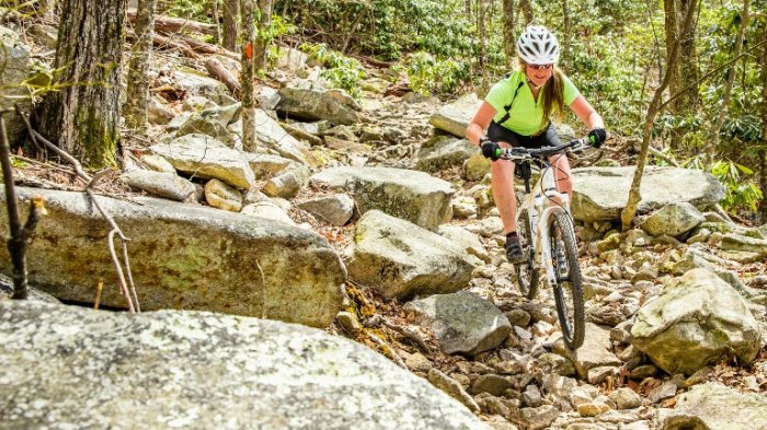Sepeda Gowes - Modal Rp 3 Jutaan, Yuk Intip Koleksi Roda Dua Ini, Cocok ...