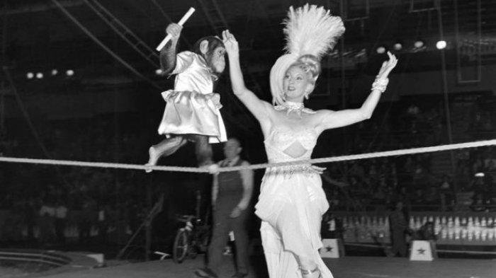 Terungkap! Ini 7 Fakta Tersembunyi Pencipta Sirkus yang Jadi ...