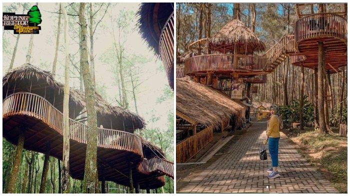 Jam Buka dan Harga Tiket Masuk Kopeng Treetop Semarang 2021, Serunya ...