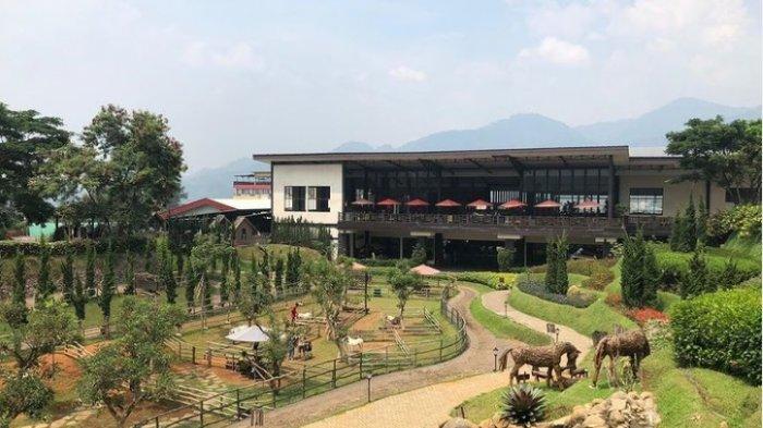 The Ranch Cisarua dan 9 Tempat Wisata Dekat Taman Safari Bogor yang Paling Populer - Tribun Travel