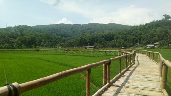 5 Tempat Wisata di Bantul dengan Pemandangan Alam Memukau Buat Lepas ...