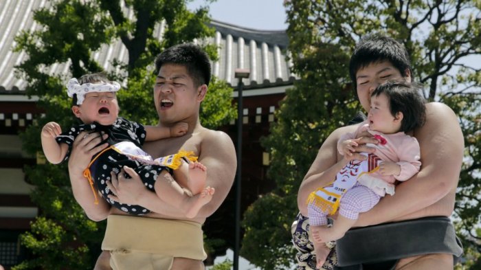 Naki Sumo - Gokil Banget! Festival Unik Ini Bakal Bikin Ngakak Karena ...