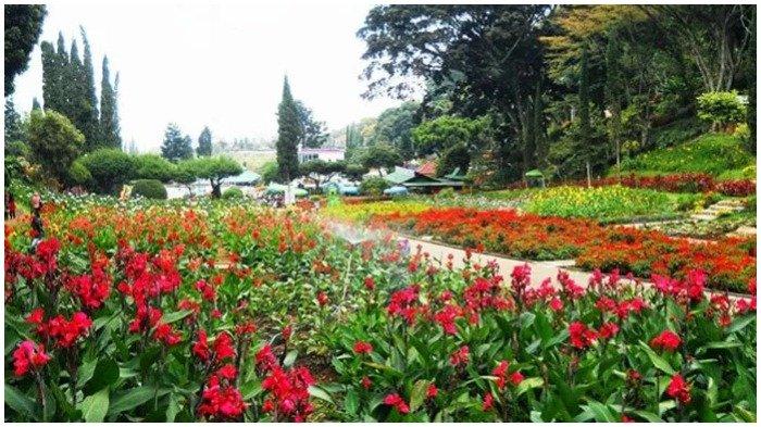 Wisata Taman Bunga di Bandung Buat Liburan Romantis Bareng Pasangan ...