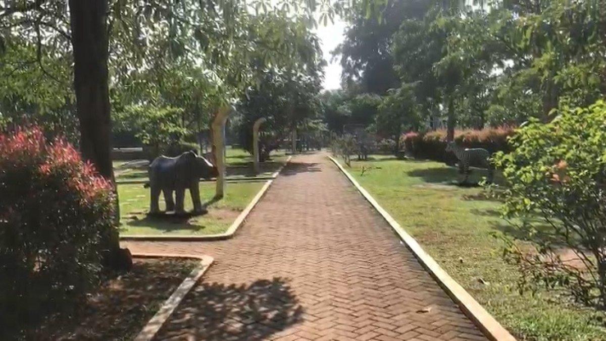 Taman Citra Satwa, Destinasi Ramah Anak di Semarang yang Punya Banyak ...