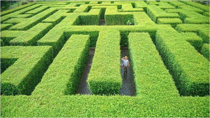 Ingin Bertualang di Malang? Coba Kunjungi Taman Labirin Coban Rondo ...