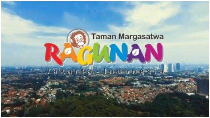 Monas dan Ragunan, 2 Tempat Wisata di Jakarta yang Tutup Saat Lebaran ...