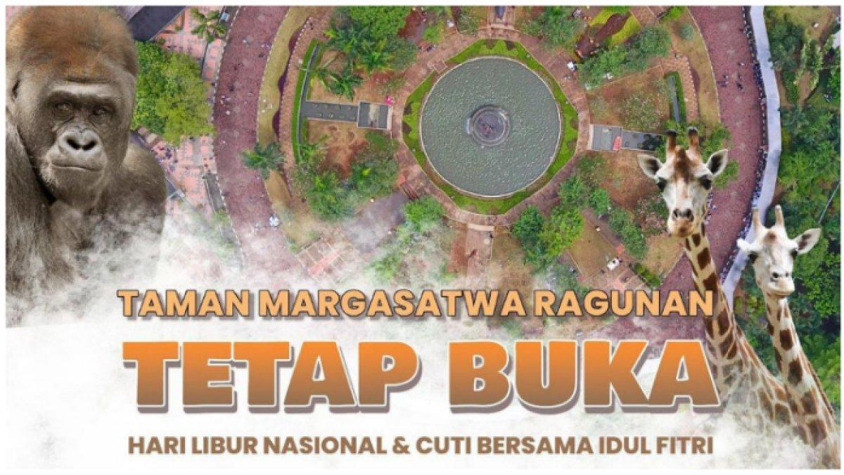 Cek Harga Tiket & Akses Pintu Masuk Ragunan, Tempat Wisata di Jakarta ...