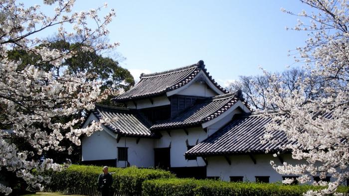 Wisata Jepang - Waktu Terbaik Menikmati Mekarnya Sakura di Negeri ...