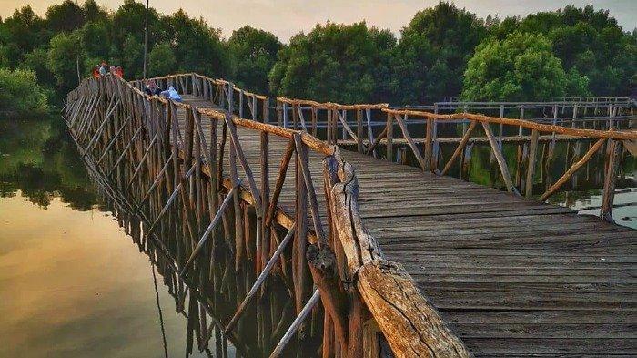 TWA Mangrove Buka Kembali, Bisa Sewa Penginapan untuk Liburan Akhir ...