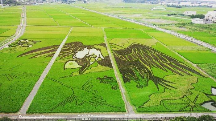 Mengenal Tanbo Art, Seni Melukis Menggunakan Sawah yang Unik dari ...