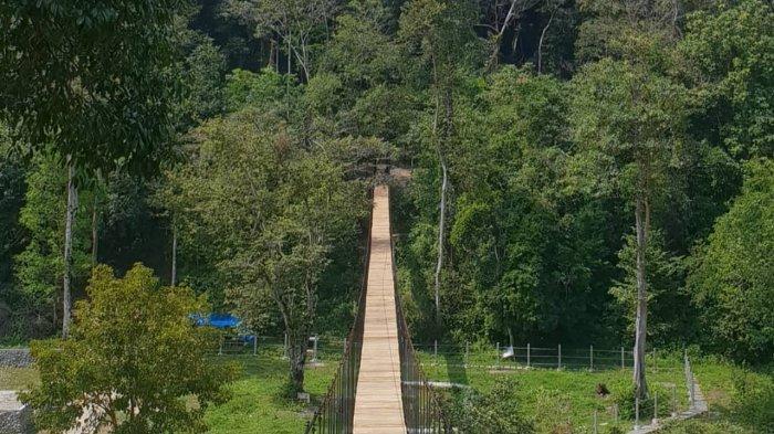 Tangkahan, Destinasi Petualangan di Langkat dengan Pemandangan Alam ...