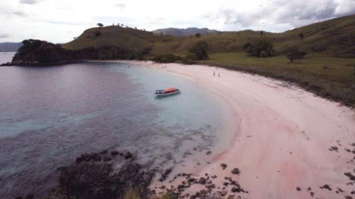 Pantai Tangsi - Unik! Pasir di Sini Warnanya Pink, Begini Asal Mulanya ...