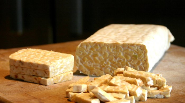 Ketahui 7 Jenis Tempe dari Berbagai Daerah di Indonesia, Pernah Dengar ...