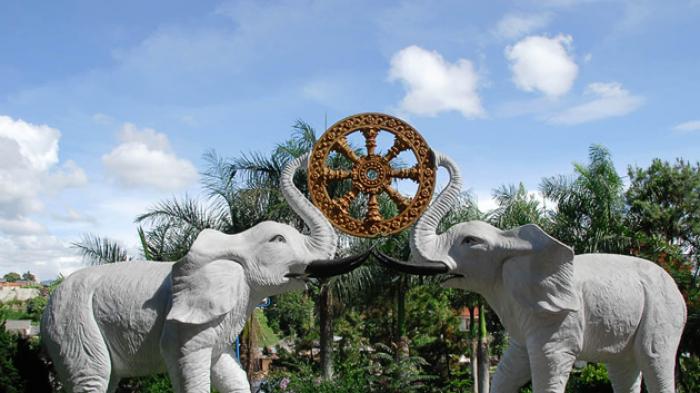 Fakta Menarik - Inilah Cerita di Balik Sebutan Negeri Gajah Putih untuk ...