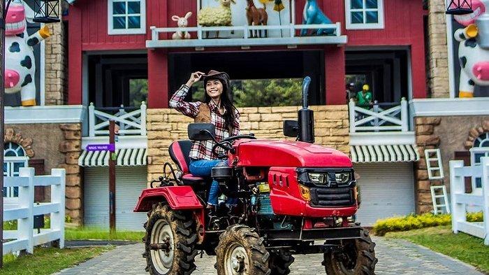 Liburan Akhir Pekan ke Cimory Dairyland Puncak, Harga Tiket Masuknya ...