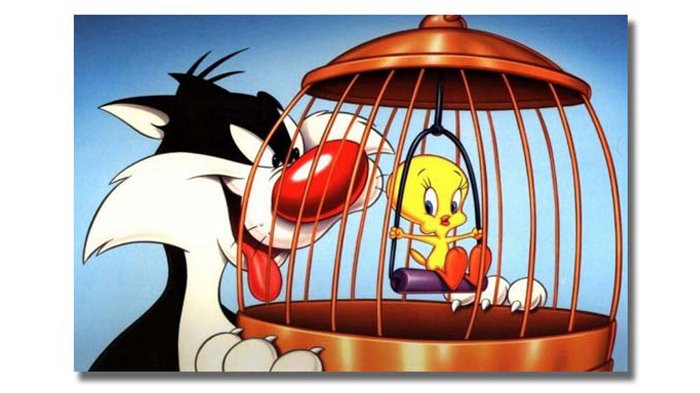 Jenis Kelamin hingga Warna Bulu, Ini 12 Fakta Kartun Tweety Bird yang ...
