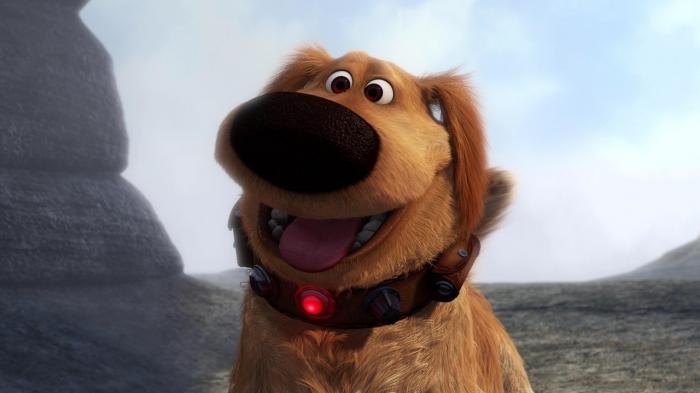 Masih Ingat dengan Karakter Anjing di Film Up? Inilah Kehidupannya di ... Masih Ingat dengan Karakter Anjing di Film Up? Inilah Kehidupannya di ...