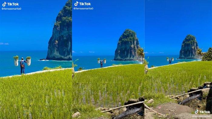 Pemandangan Pantai di Pacitan Viral di Medsos, Laut dan Langit Biru ...