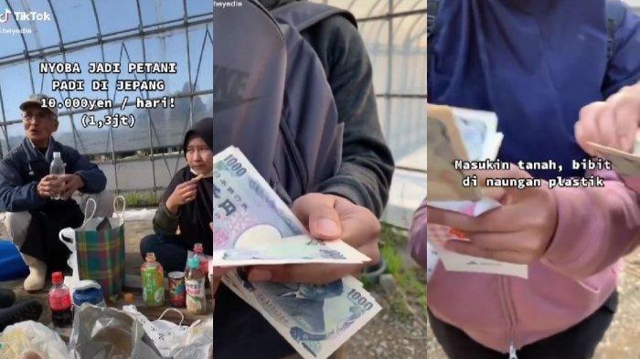 Kisah Mahasiswi Indonesia Yang Kerja Jadi Petani Di Jepang Sehari