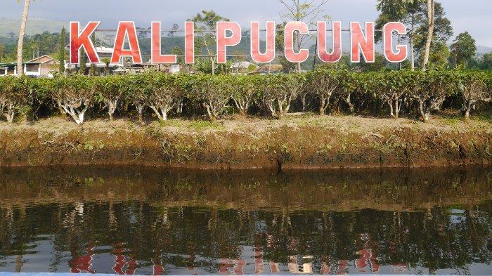 Kali Pucung Kemuning, Sensasi Tubing di Kaki Gunung Lawu - Tribun Travel