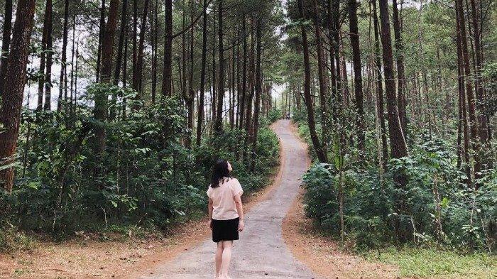 5 Tempat Wisata Alam di Purworejo untuk Liburan Akhir Pekan, Nikmati ...