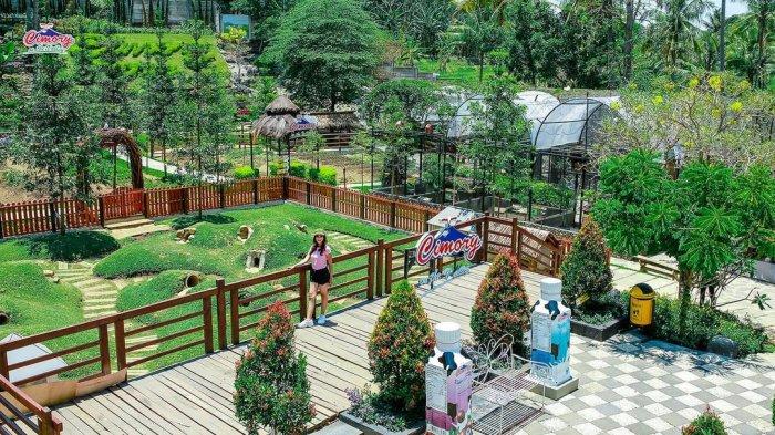 Panduan Wisata ke Cimory On The Valley Semarang, Simak Harga Tiket ...