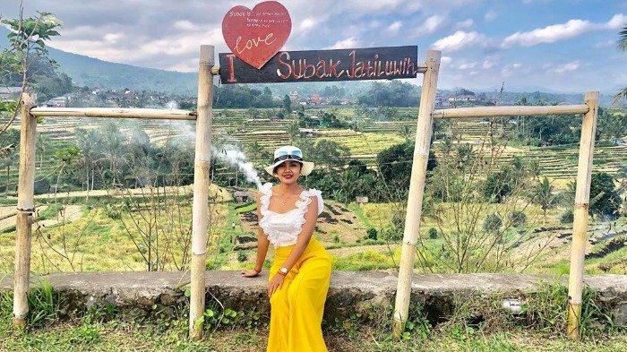 Fakta Unik Subak Jatiluwih, Warisan Budaya Dunia di Bali yang Pernah Dikunjungi Obama - Tribun ...