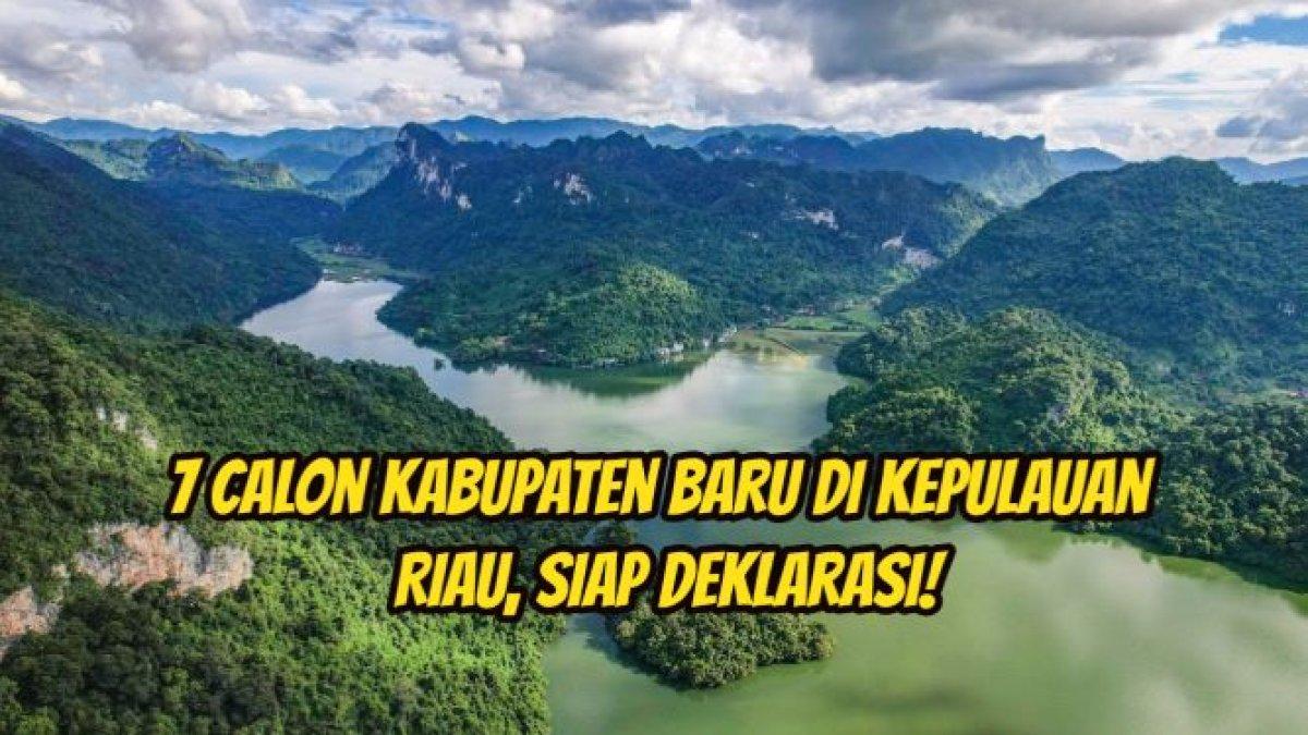 7 Calon Kabupaten Baru di Kepulauan Riau, Siap Deklarasi! Bintan Utara ...