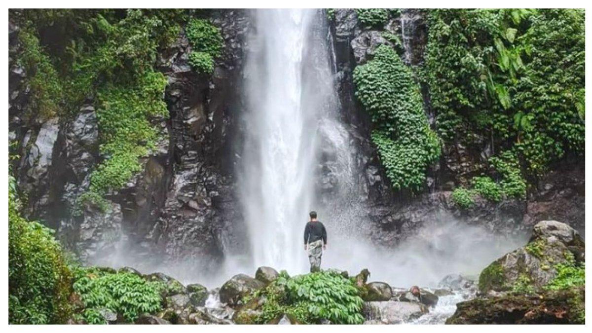 Di Jember Ada Wisata Air Terjun, Bisa Nikmati Suasana Kesegaran Alam, Cocok Buat Liburan ...