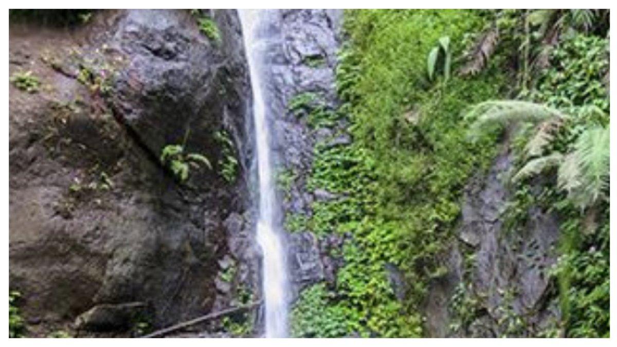 Cuma 19 Km Dari Purbalingga,spot foto di tengah hutan menuju air terjun ...