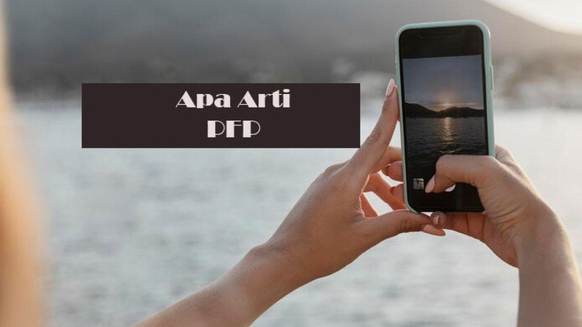 Apa Arti PFP Istilah Viral TikTok? Singkatan Sering Muncul di Sosmed, Ternyata Ini Maknanya ...