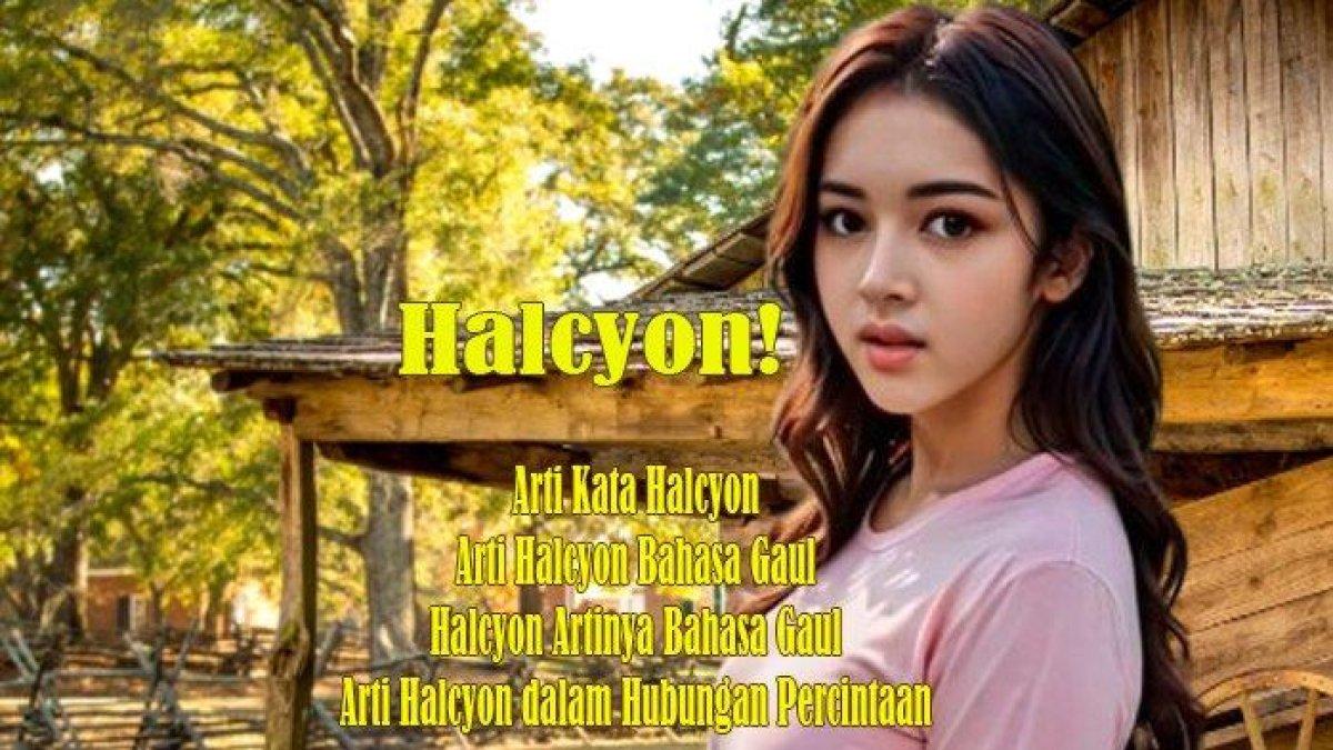 Apa Arti Halcyon Istilah Viral TikTok? Bahasa Gaul Sering Muncul di FYP ...
