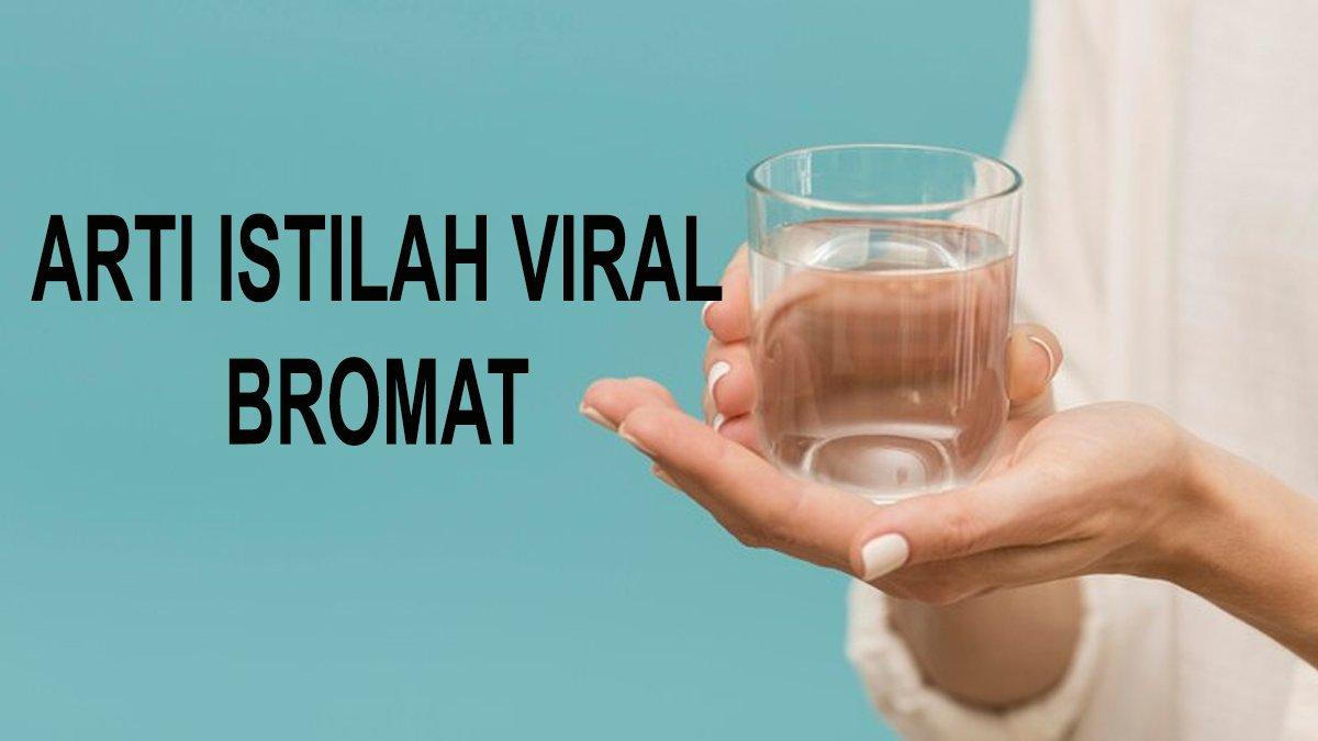 Apa Arti Bromat, Istilah Viral di TikTok? Kata Gaul Ini Kerap Diucapkan ...