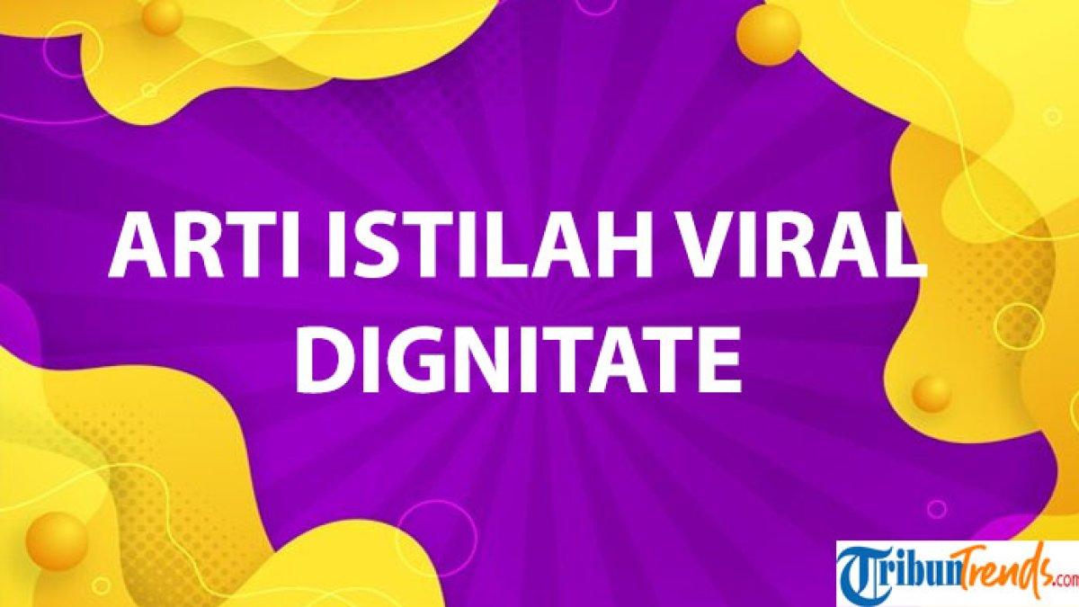 Apa Arti Dignitate, Istilah Viral di TikTok? Kata Ini Kerap Dipakai ...