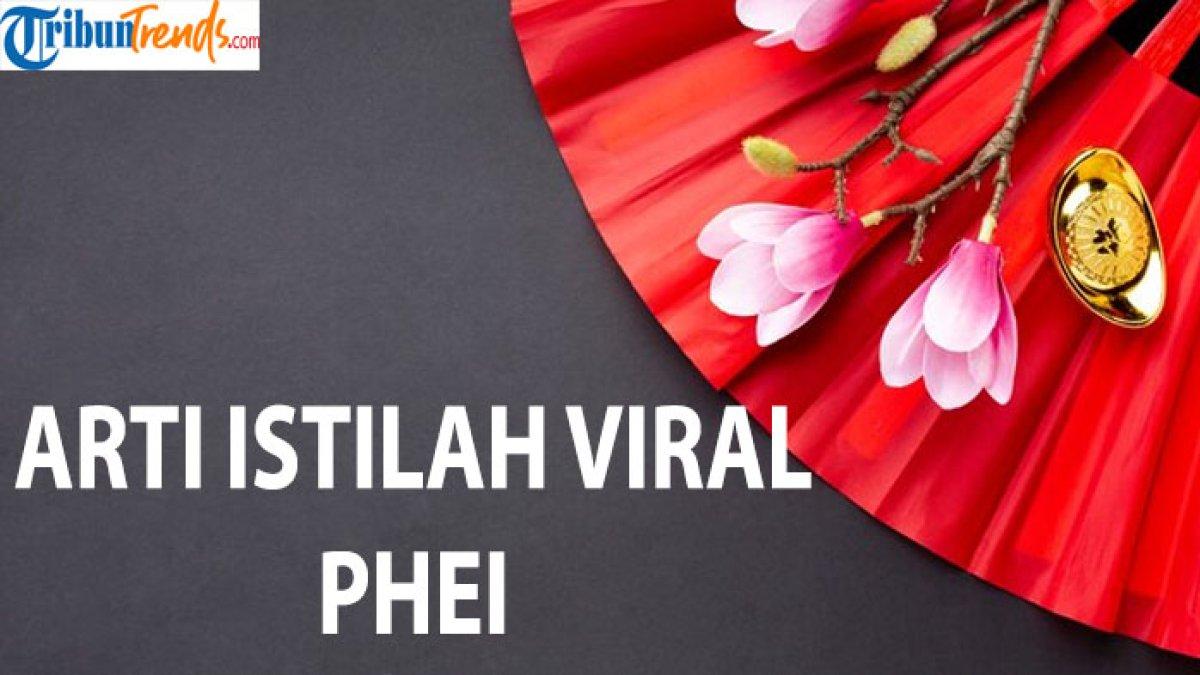 Apa Arti Phei, Istilah Viral di TikTok? Kata Bahasa Mandarin Populer ...