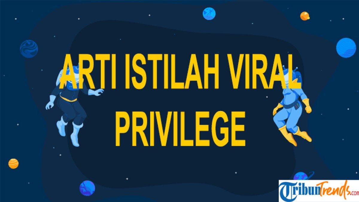 Apa Arti Privilege, Istilah Viral di TikTok? Kata Ini Kerap Dipakai ABG ...