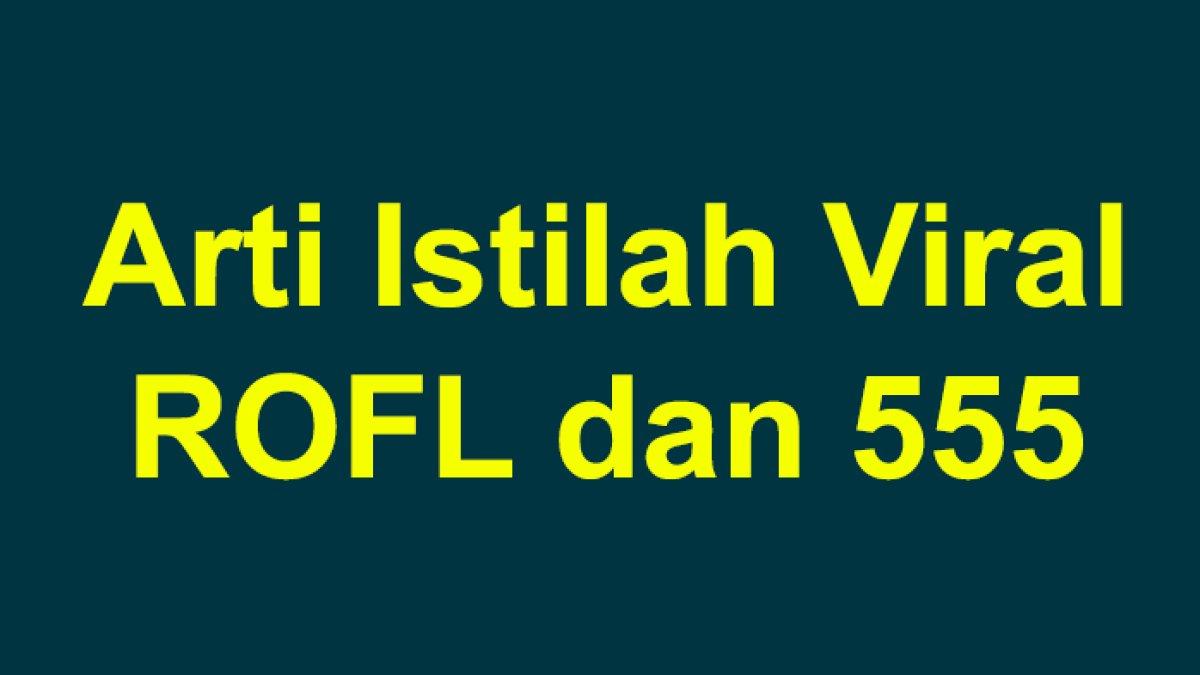 Apa Arti ROFL dan 555, Istilah Viral di TikTok? Kerap Muncul di ...