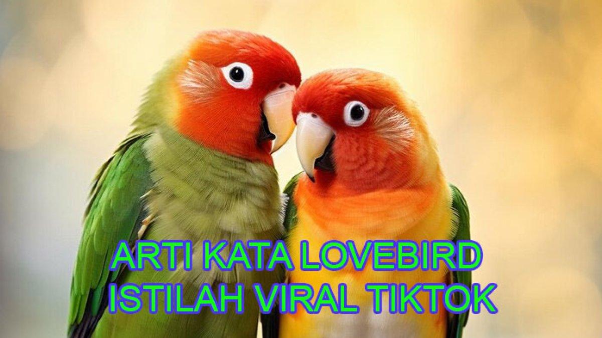 Apa Arti Lovebird Istilah Viral TikTok? Kata Bahasa Inggris Sering Muncul di Caption, Apa ...