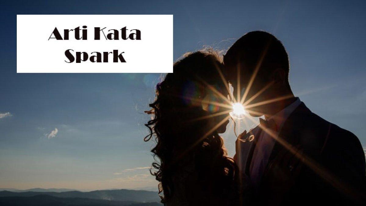 Apa Arti Spark Istilah Viral TikTok? Kata Gaul dari Bahasa Inggris ...