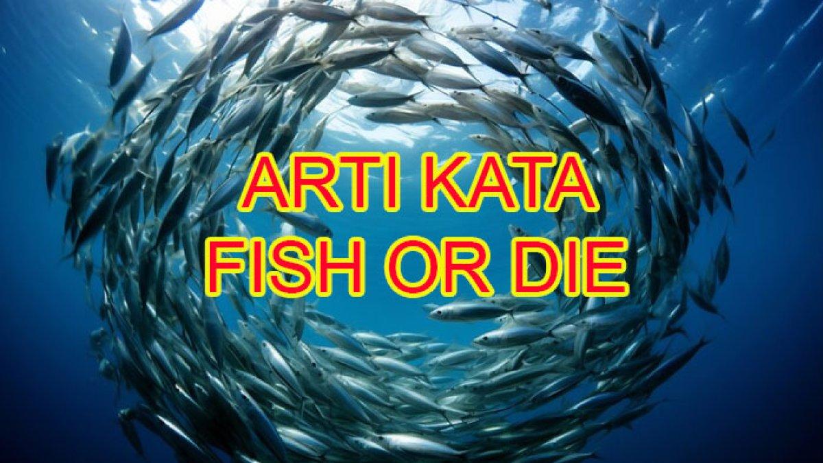 Apa Arti Fish or Die Istilah Viral TikTok? Sering Muncul di Film, Bukan ...