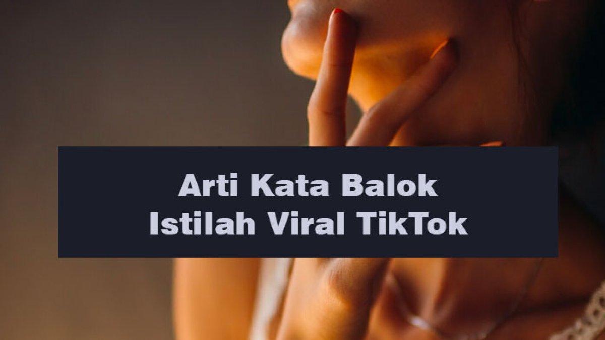 Apa Arti Balok Istilah Viral TikTok? Hati-hati Ada yang Maknanya Negatif, Jangan Asal Pakai ...