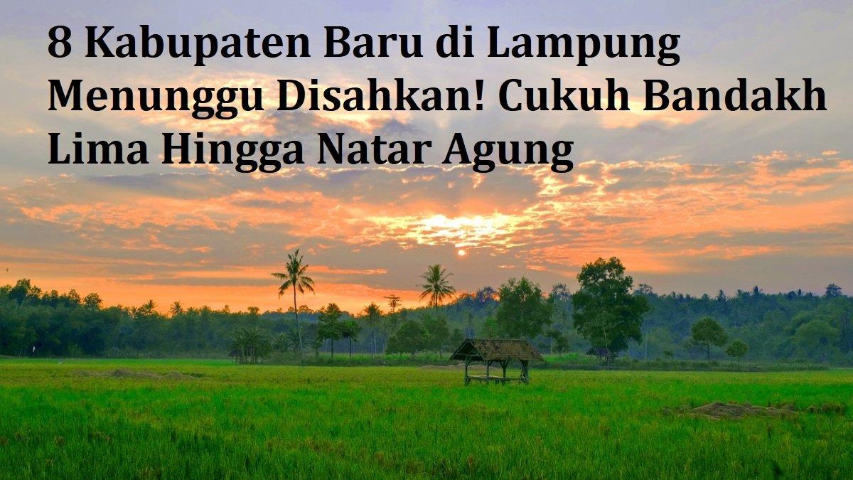 8 Kabupaten Baru di Lampung Menunggu Disahkan! Cukuh Bandakh Lima, Natar Agung, Sungkai Bunga ...