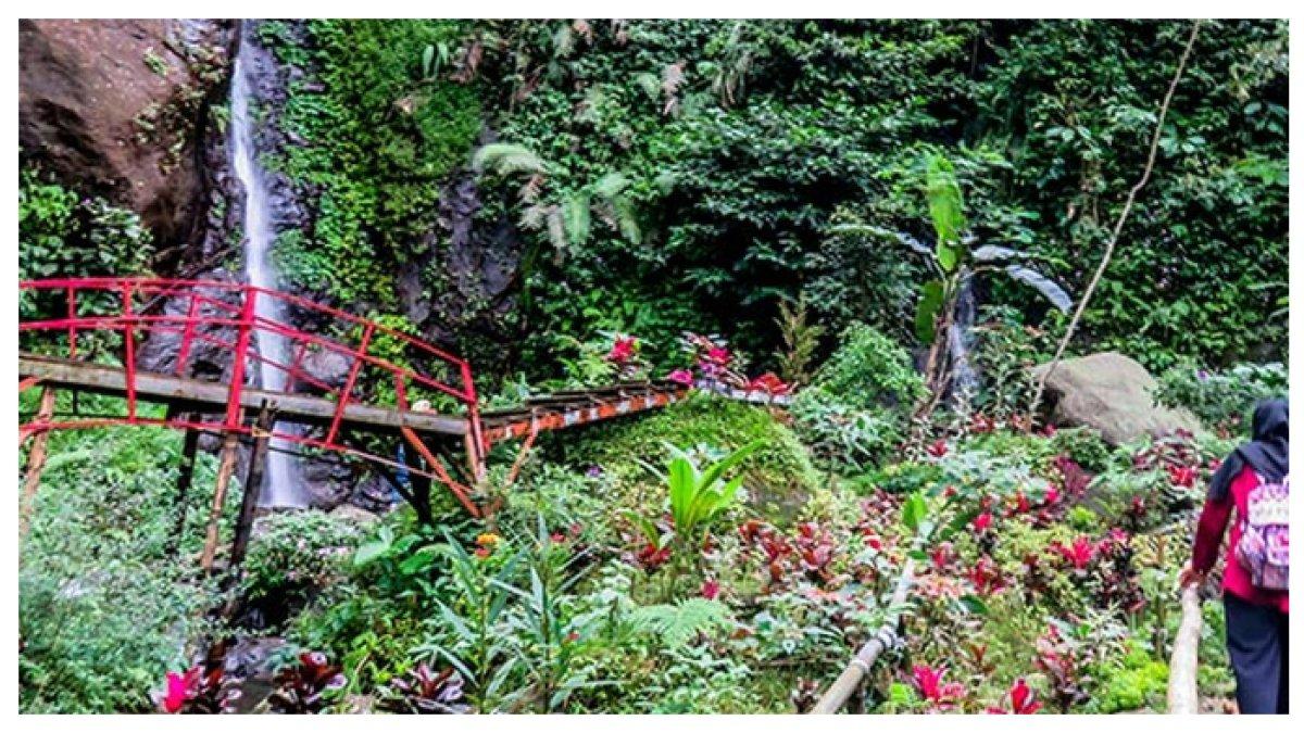Berita Menyusuri Jalur Menuju Curug Lawang Terbaru Hari Ini ...
