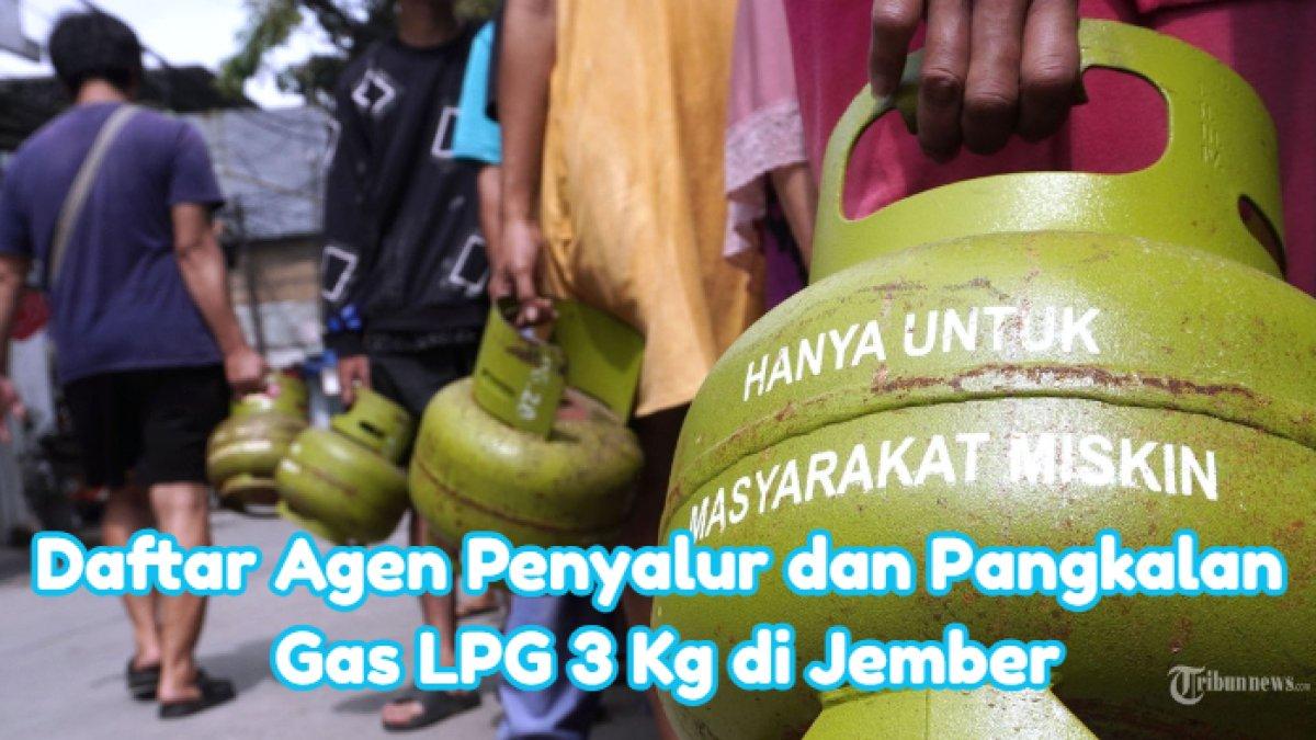 Daftar 26 Agen Penyalur dan 6 Pangkalan Gas LPG 3 Kg di Jember Jatim ...