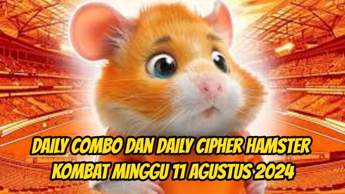 Daily Cipher dan Daily Combo Hamster Kombat Minggu,11 Agustus 2024, Dapatkan Total 6 Juta Koin ...