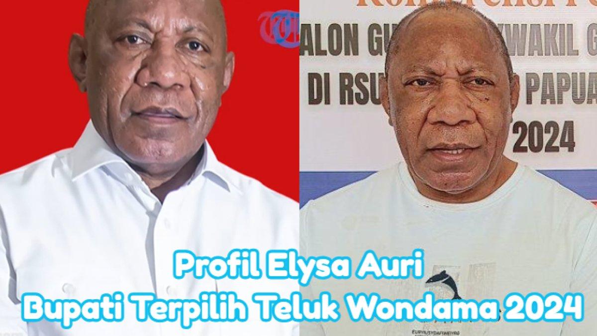 Profil Elysa Auri, Bupati Terpilih Teluk Wondama 2024, 3 Kali Sabet Satyalancana Karya Satya ...