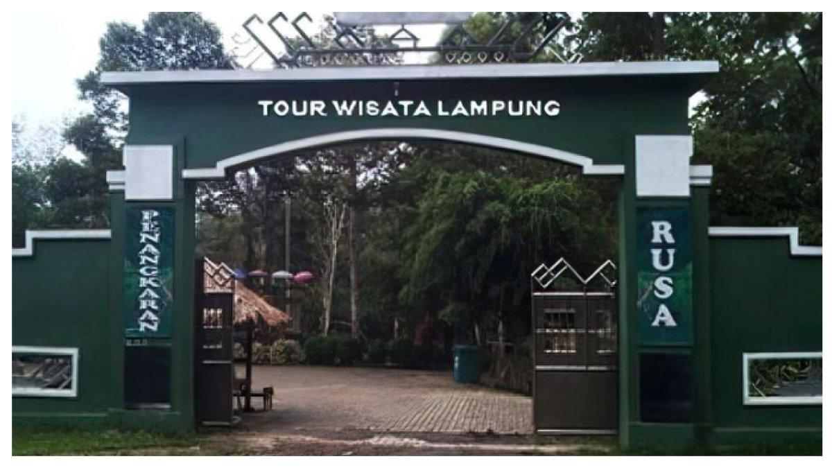 Cuma 14 Km Dari Bandar Lampung, Piknik di Taman Penangkaran Rusa, Cocok ...