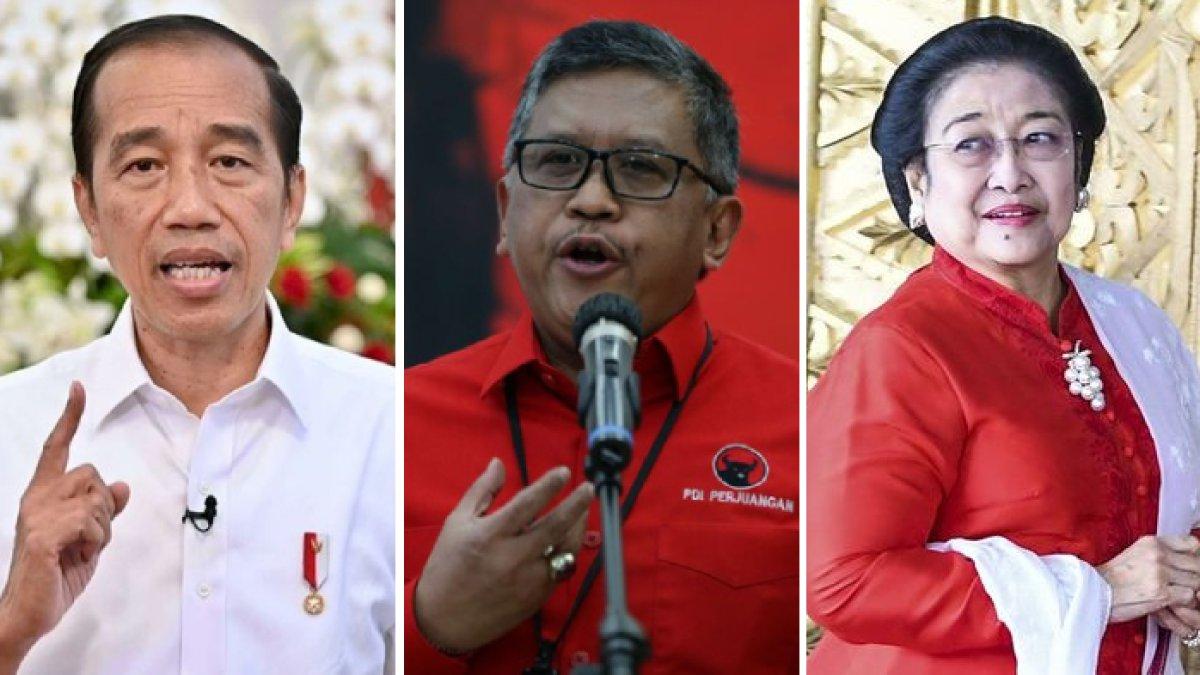 Prabowo Bisa Pertemukan Jokowi Dengan Megawati Hasto Bercanda Tunggu